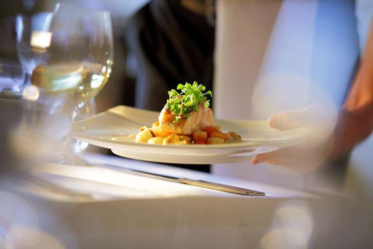 Types of Services in the Food and Beverage Industry - How To Be A Good ...